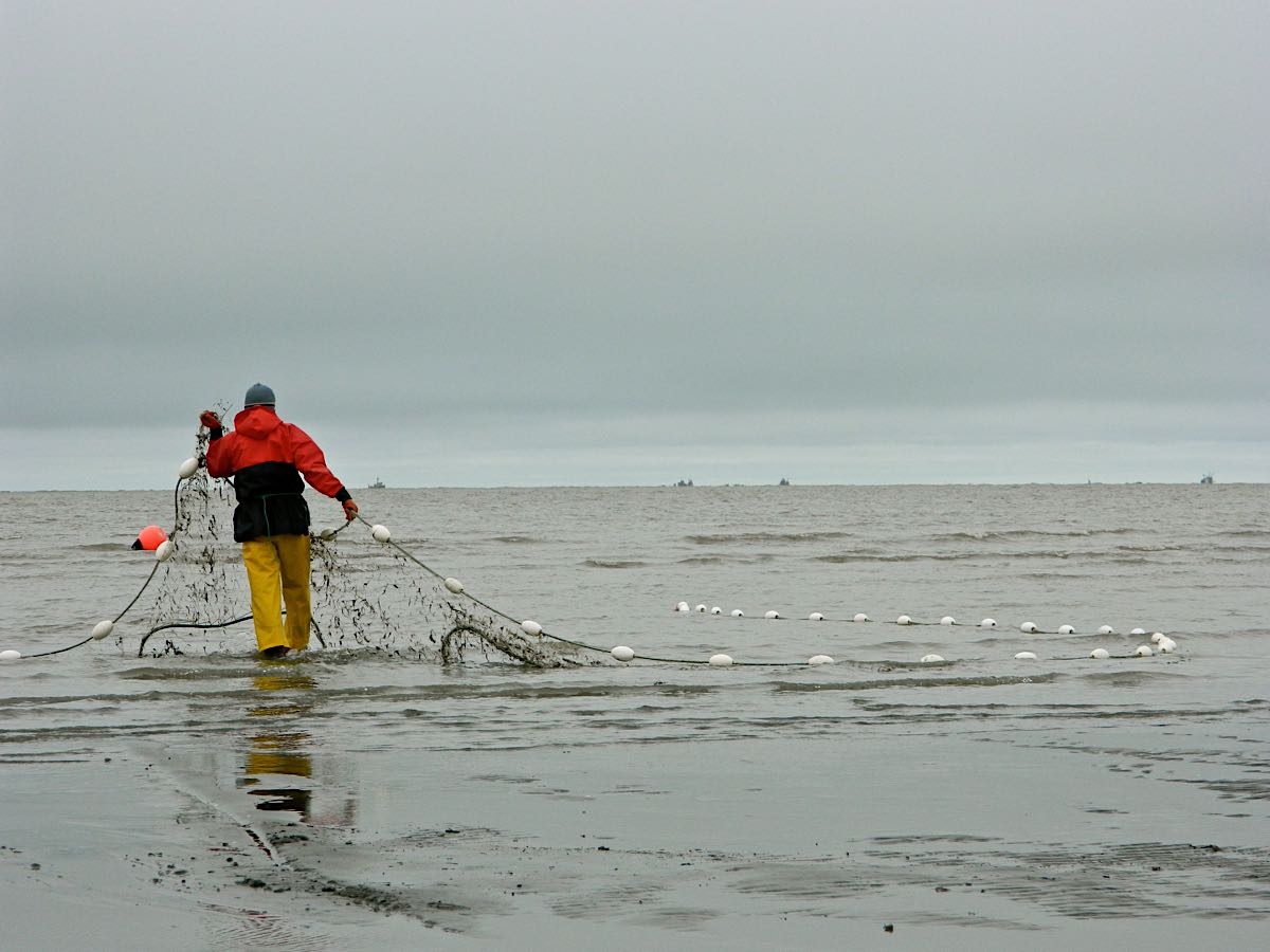 Alaska Sea Grant: Setnetting-2