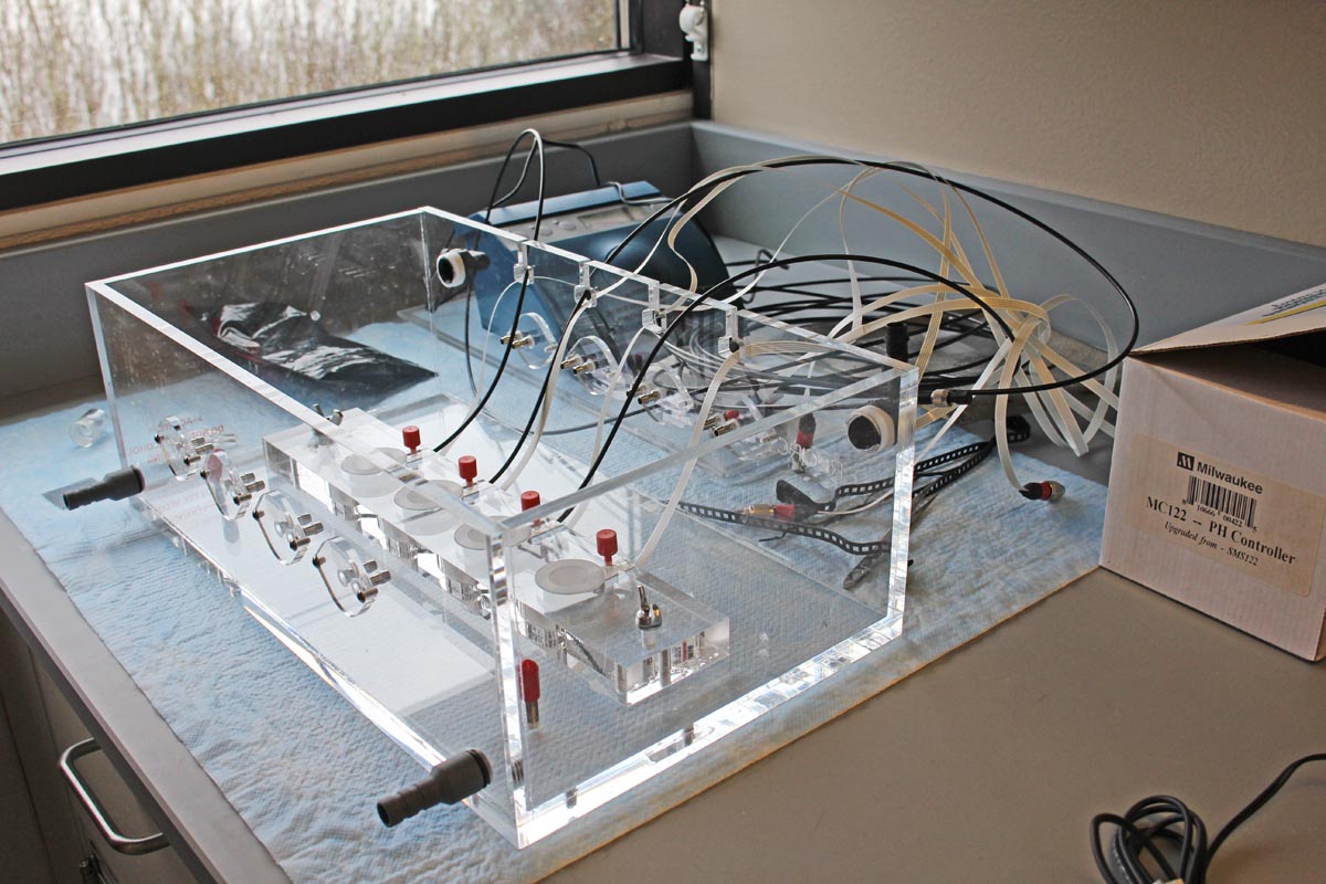 Alaska Sea Grant: 6-respirometer-to-assess-larval-shrimp-oxygen ...