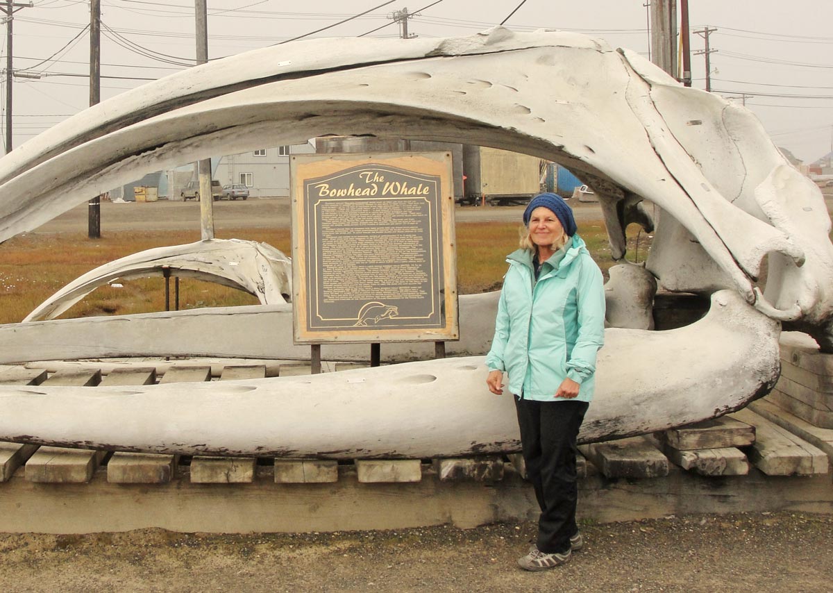 Alaska Sea Grant: Marilyn Sigman bowhead whale skull