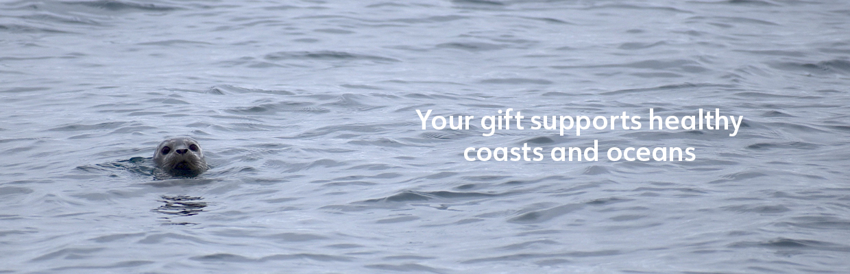 Alaska Sea Grant: giving graphics