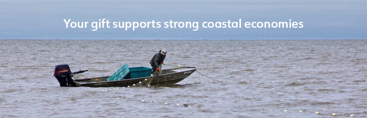 Alaska Sea Grant: giving graphics4