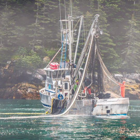 Alaska Sea Grant: Commercial fishing boat