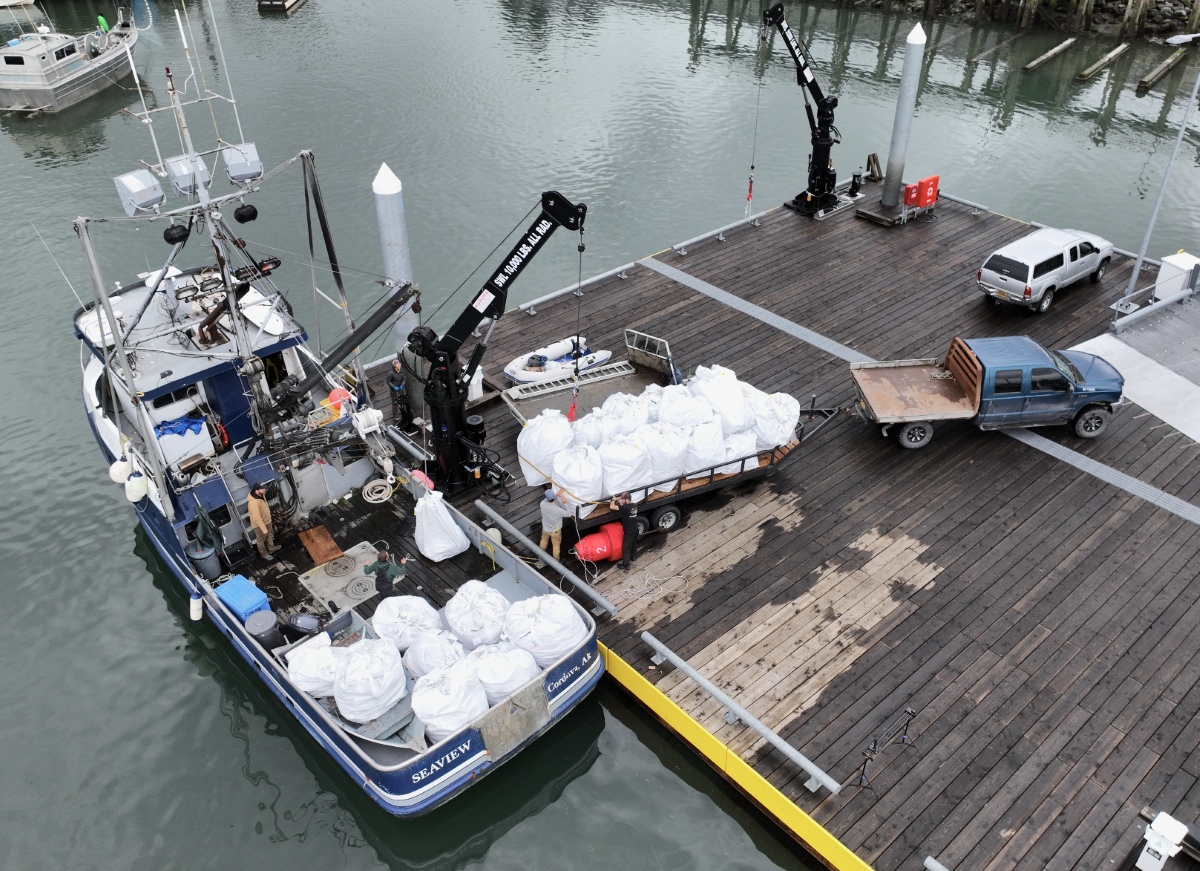 Alaska Sea Grant: 3 Egg Island_2025_Widmann_0956