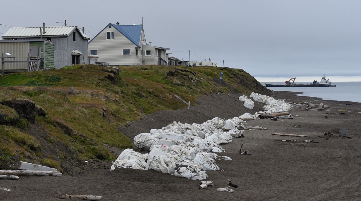 Alaska Sea Grant: Ravens-2025-McLeod-1