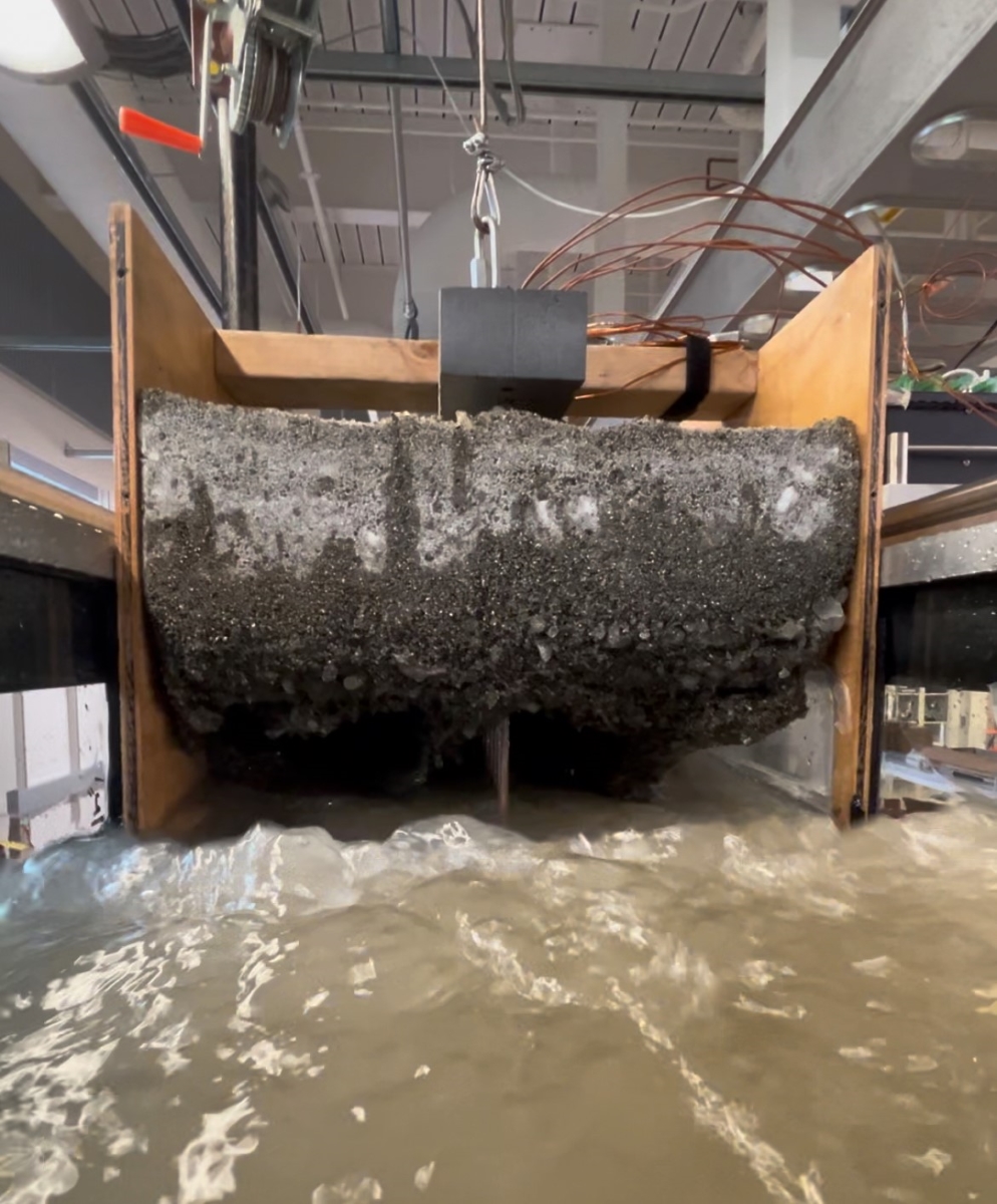 Alaska Sea Grant: Ravens-2025-Ravens-4268